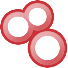 How to Detect CVEs Using Nmap Vulnerability Scan Scripts - Netlas Blog